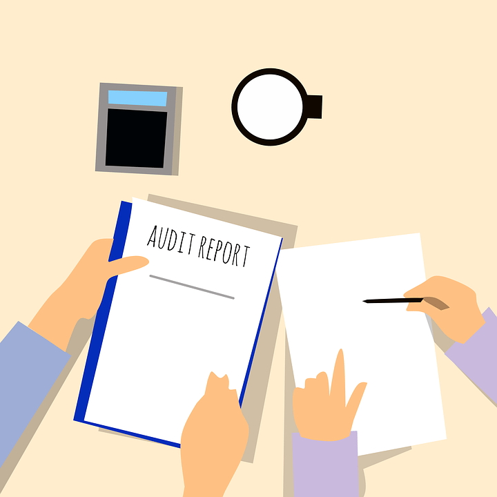 audit-1 - California Secretary Of State Filings and Incorporation